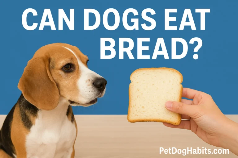 Can Dogs Eat Avocado? Safe Feeding Guide - Pet Dog Habits